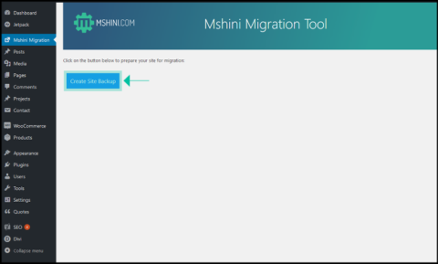 Mshini Self Migration Plugin - Mshini Managed WordPress Hosting